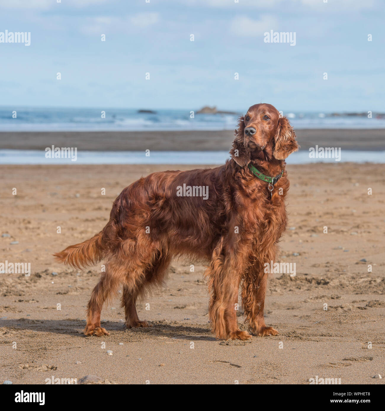 Irish day trip hi-res stock photography and images - Alamy