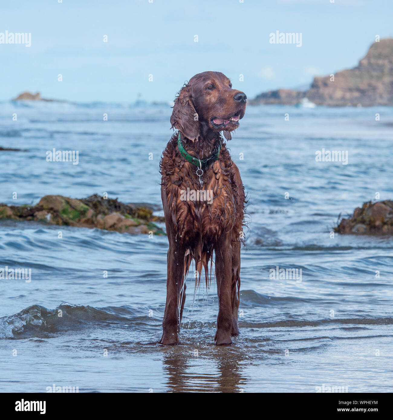 Irish beach sunny hi-res stock photography and images - Alamy