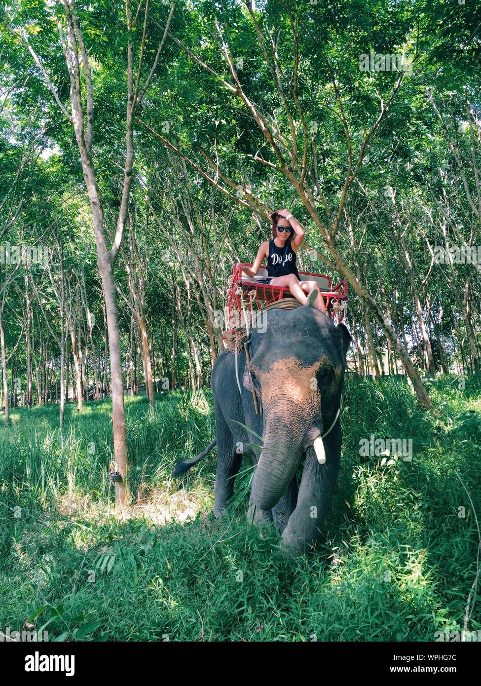 Young woman riding elephant hi-res stock photography and images - Alamy