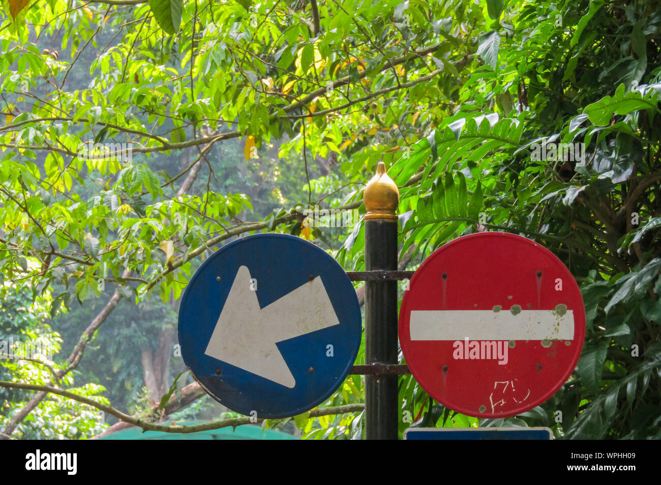 Tree symbol signs hi-res stock photography and images - Alamy