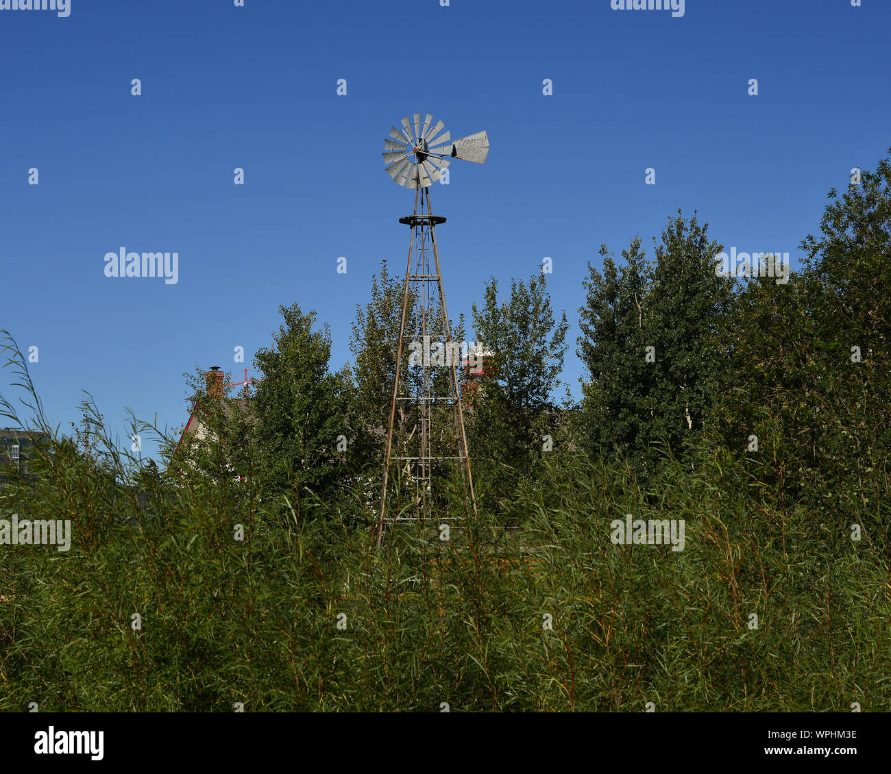 Bought in around 1910 the Patton windmill was used to supply water for ...
