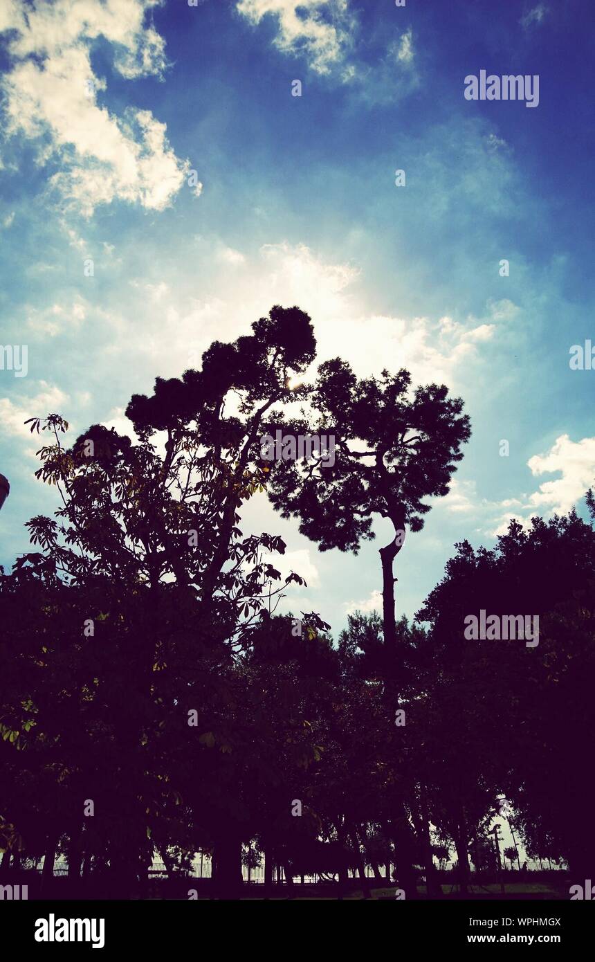 Sky outline hi-res stock photography and images - Alamy