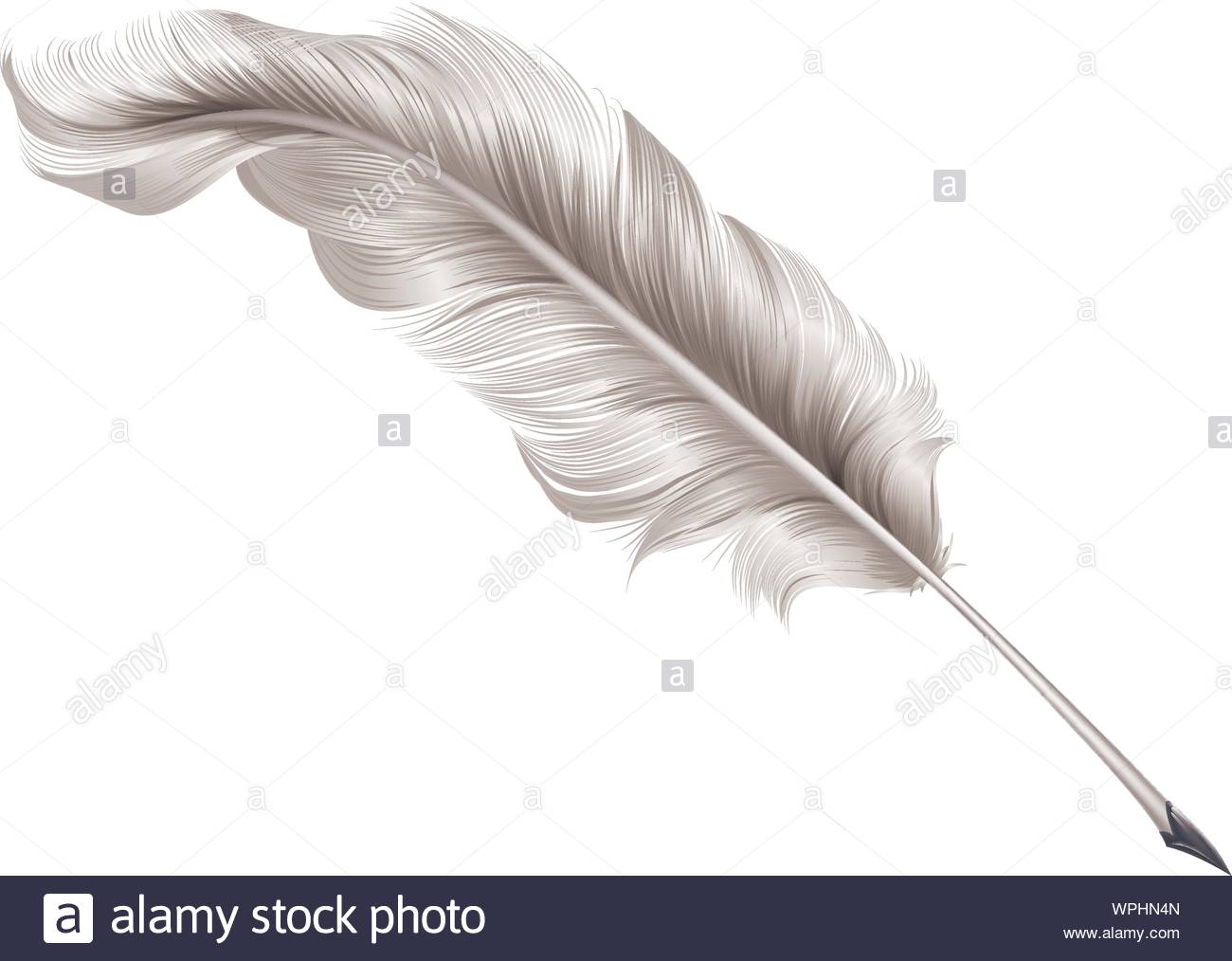 Quill Drawing High Resolution Stock Photography and Images - Alamy
