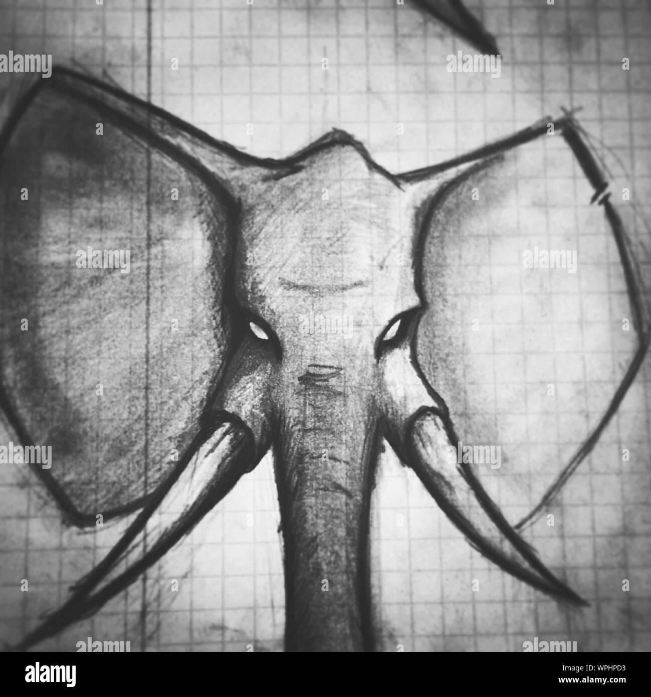 Elephant drawing an elephant hi-res stock photography and images - Alamy