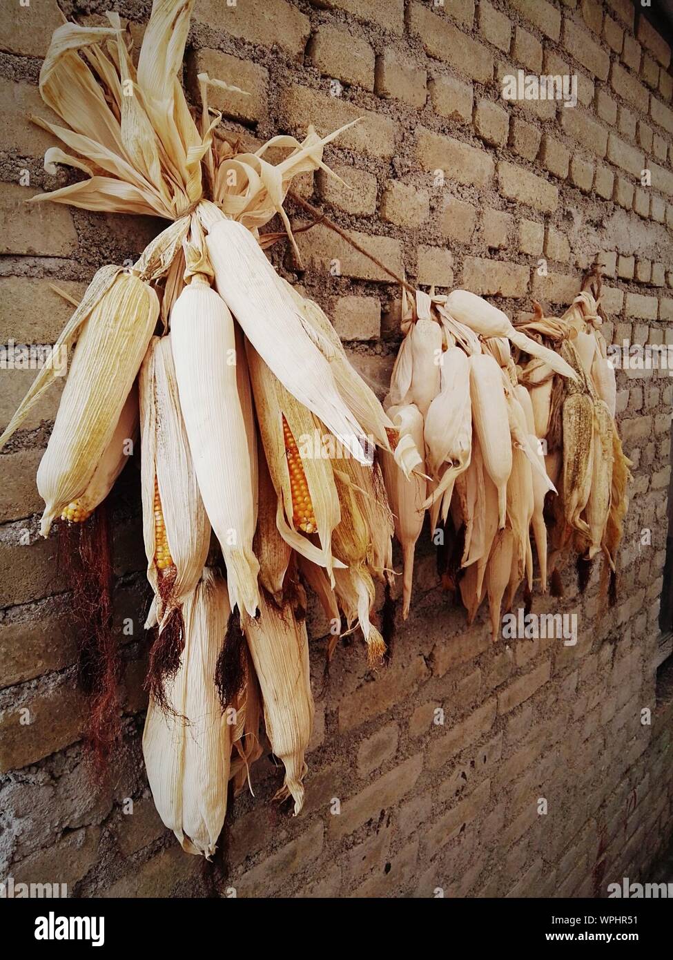 Corn on the cob building hi-res stock photography and images - Alamy