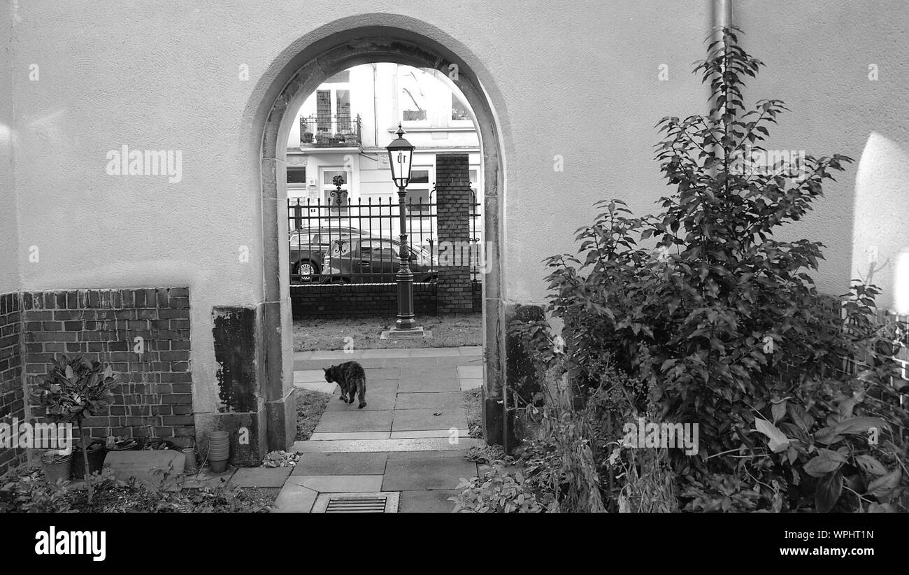 Walking under the arch Black and White Stock Photos & Images - Alamy