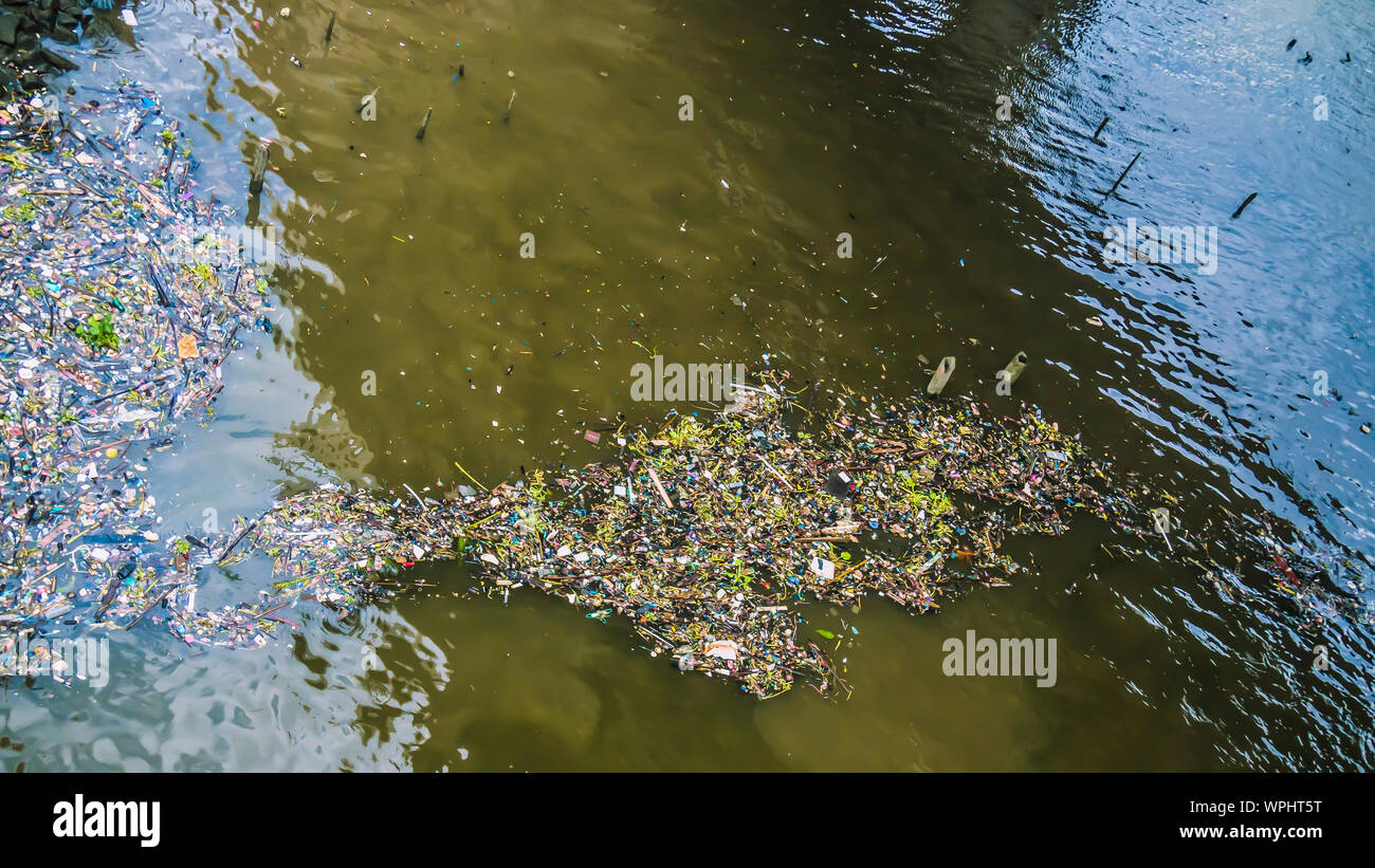 water garbage Polluted water Fishes dirty river with trash and plastic ...