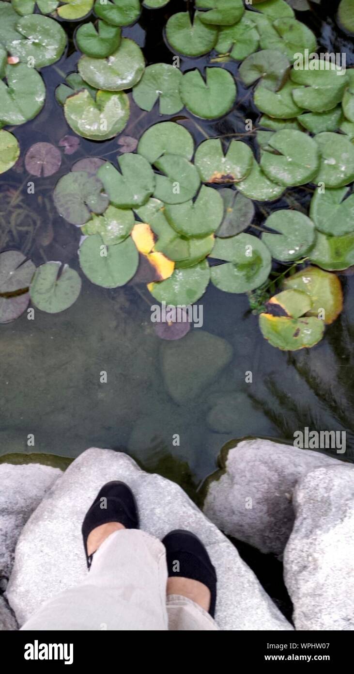 Human made pond hi-res stock photography and images - Alamy