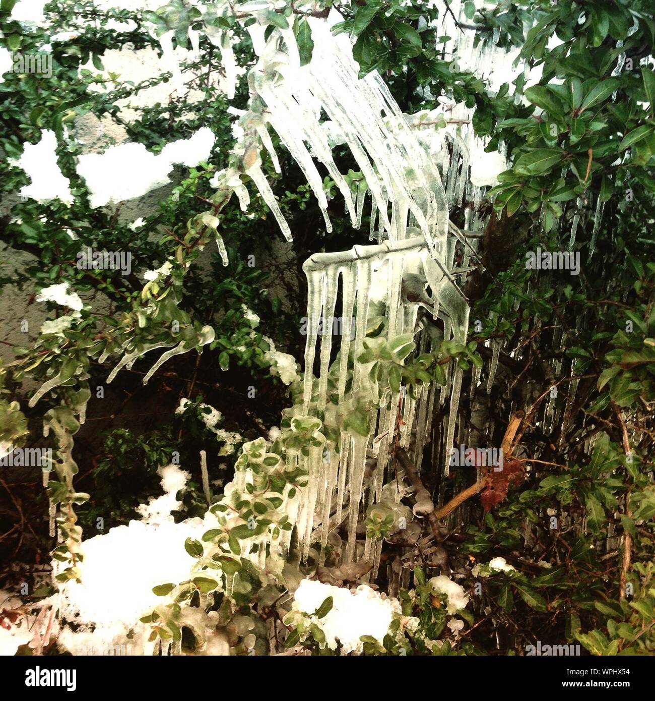 Tree icicles hi-res stock photography and images - Alamy
