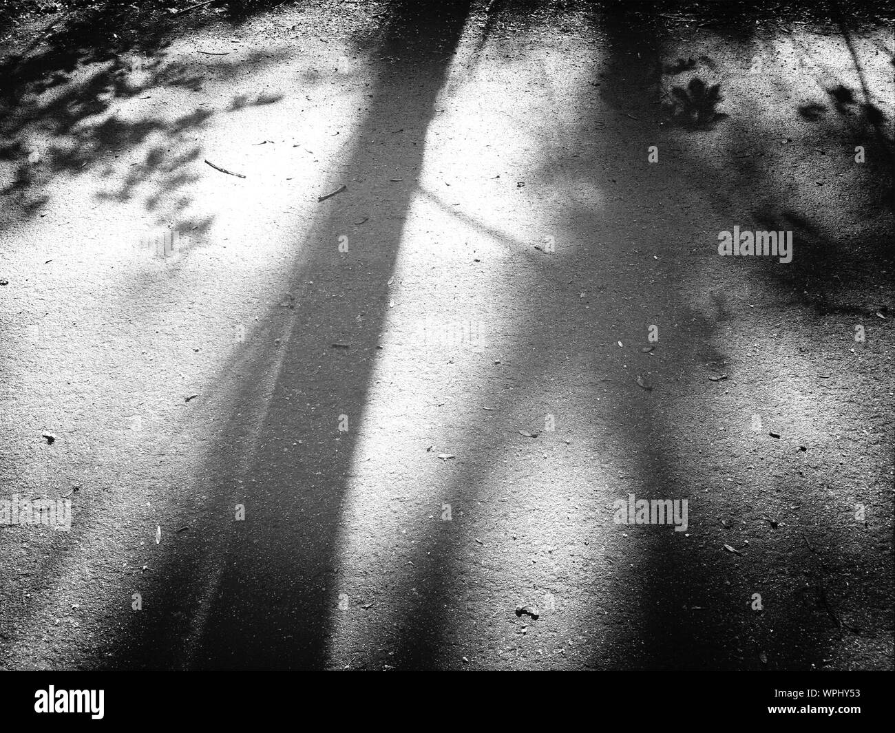 Tree shadow on the ground hi-res stock photography and images - Alamy