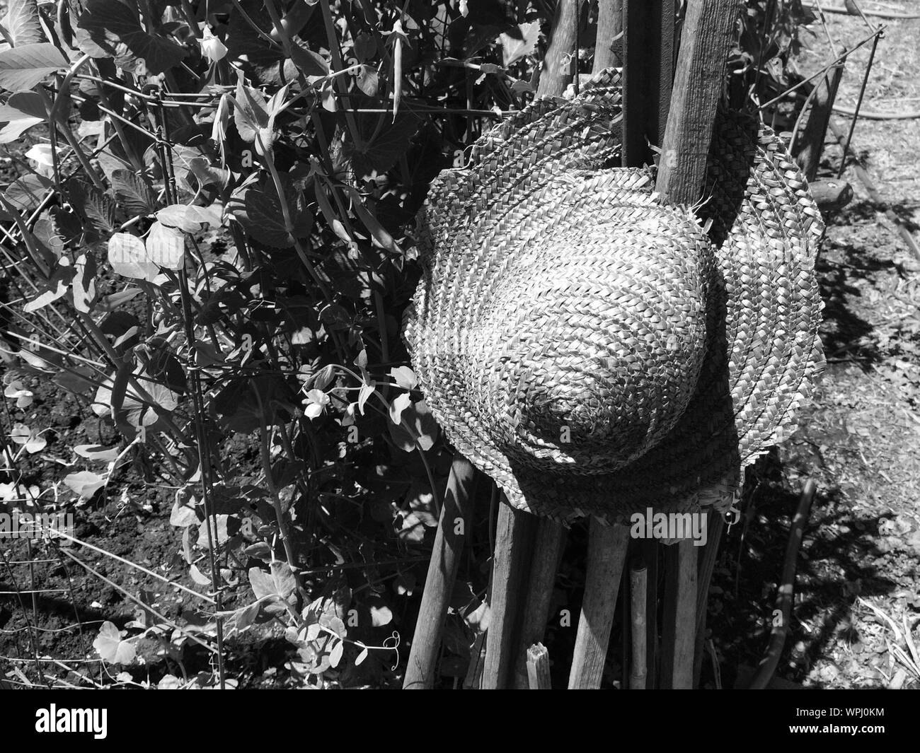 Broken straw hat no people hi-res stock photography and images - Alamy