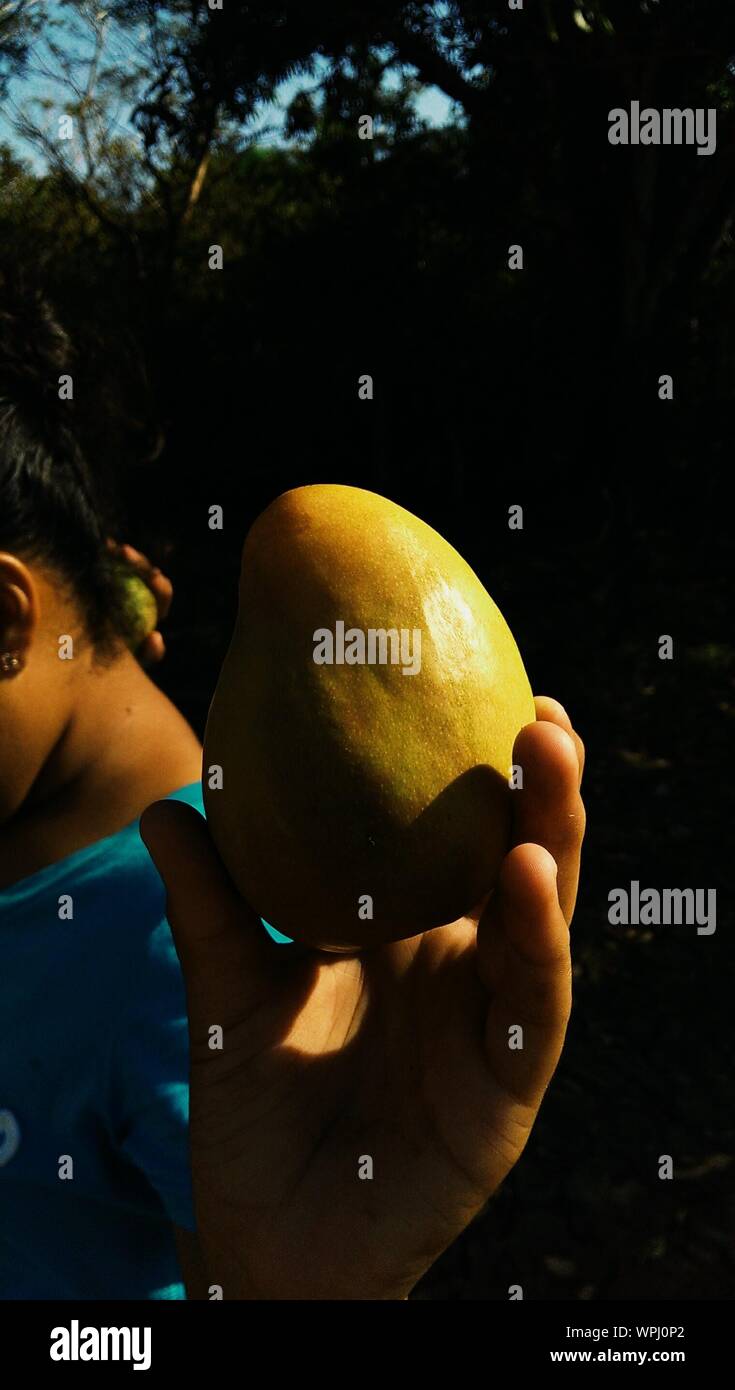 Hand Mango High Resolution Stock Photography and Images - Alamy