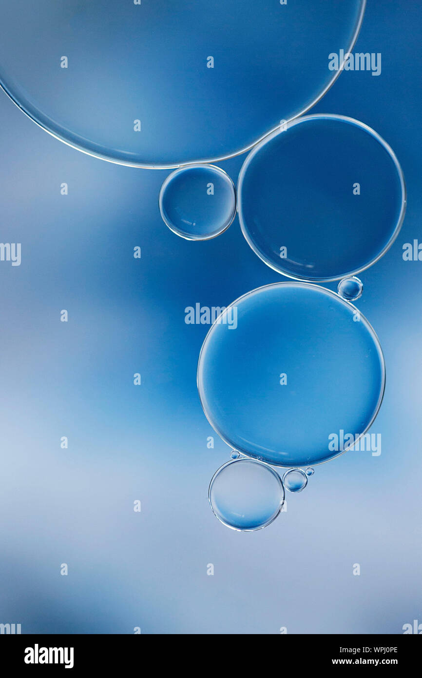 Macro of oil and water bubbles creating a scientific image of cell and ...