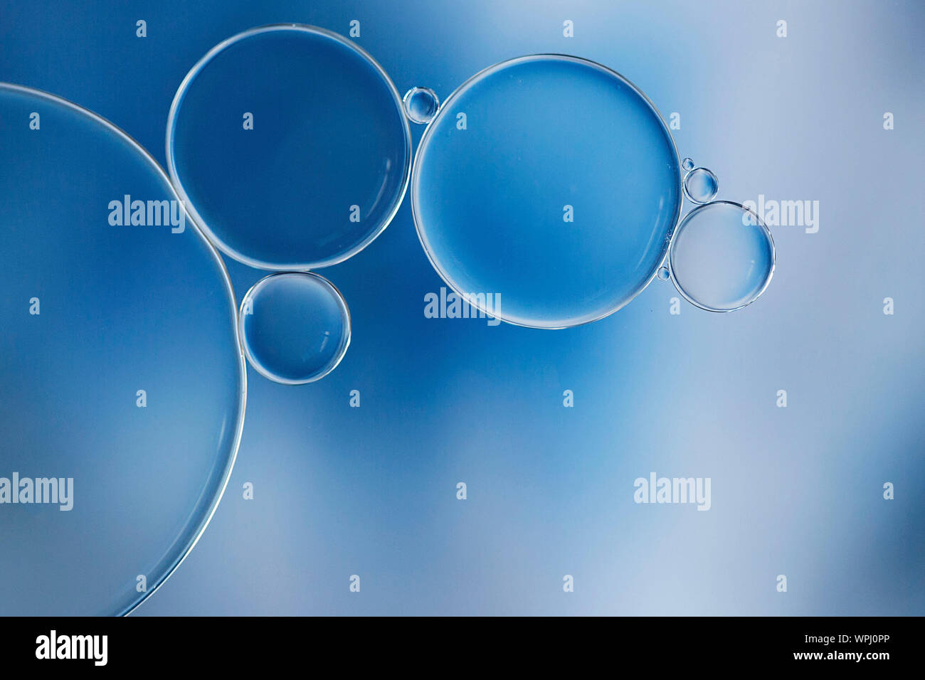 Macro of oil and water bubbles creating a scientific image of cell and ...