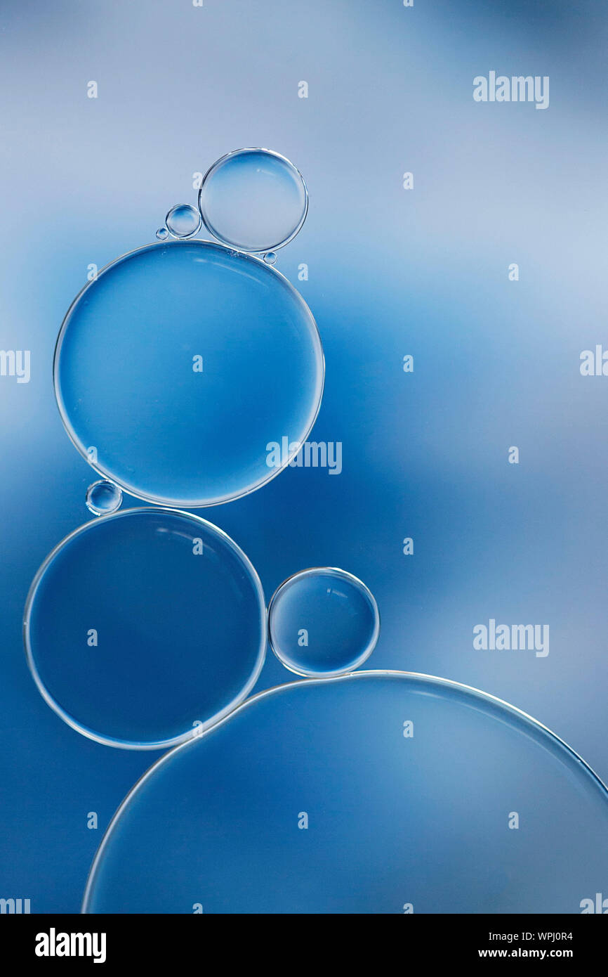 Macro of oil and water bubbles creating a scientific image of cell and ...