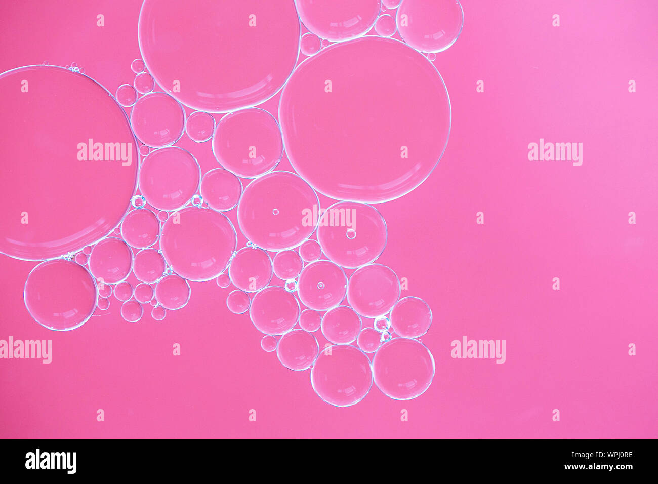 Macro of oil and water bubbles creating a scientific image of cell and ...