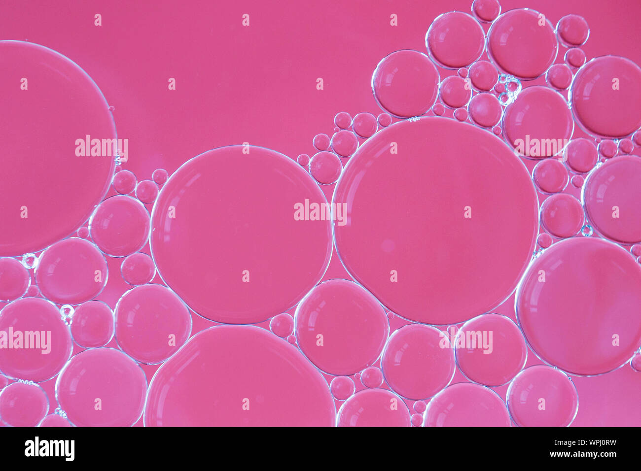 Macro of oil and water bubbles creating a scientific image of cell and ...