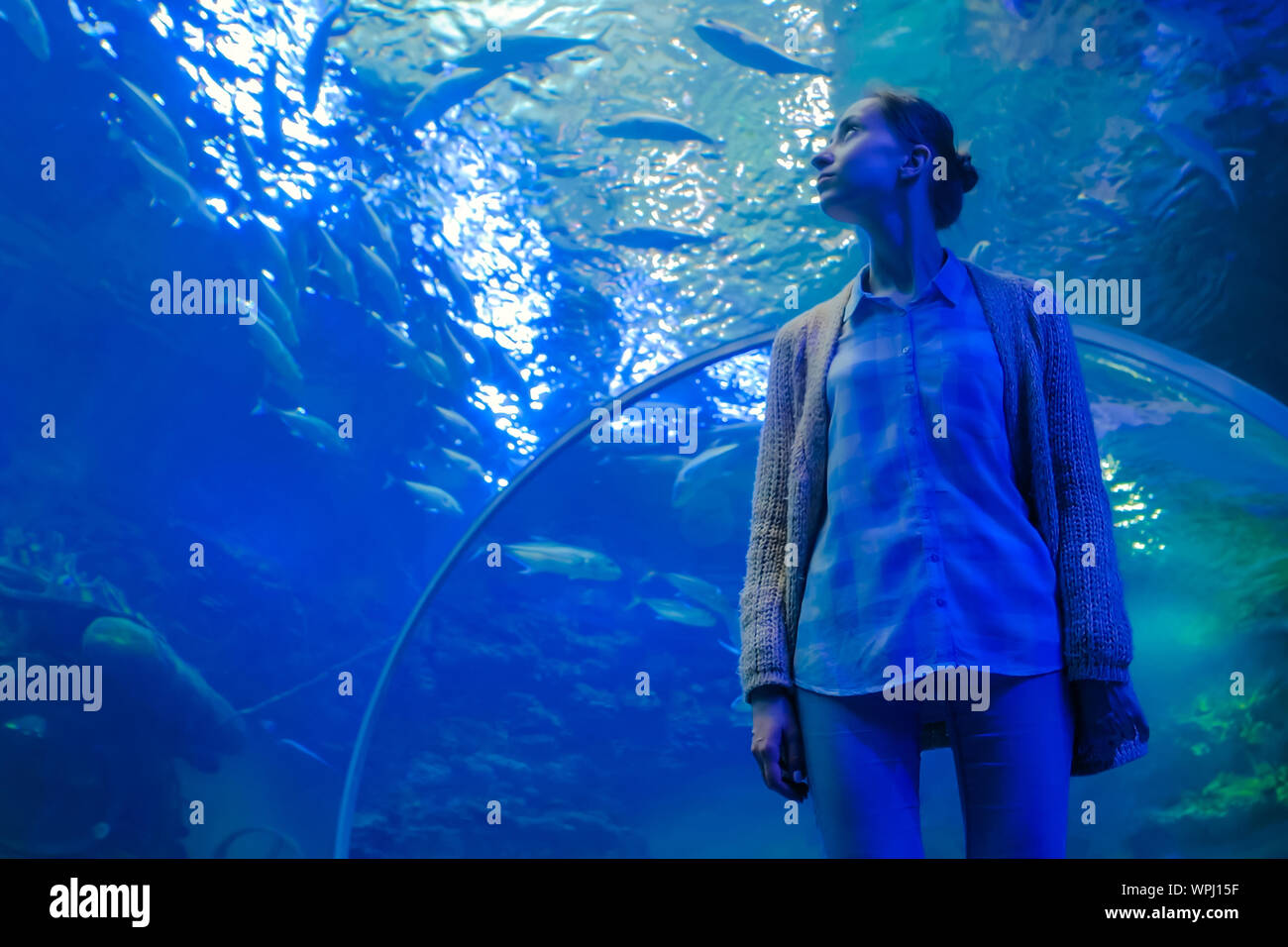 Woman looking at fish vortex in large public aquarium tank at ...