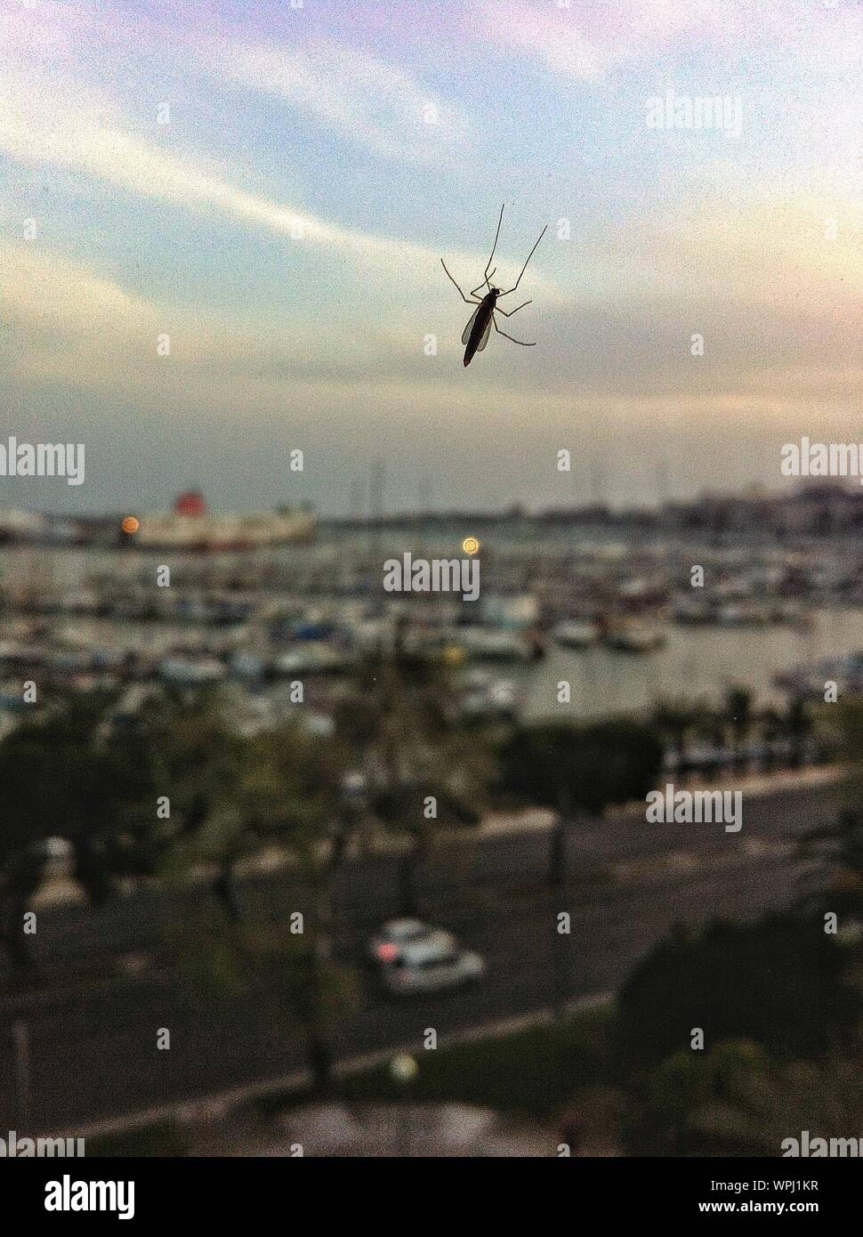 Harbor in background hi-res stock photography and images - Alamy