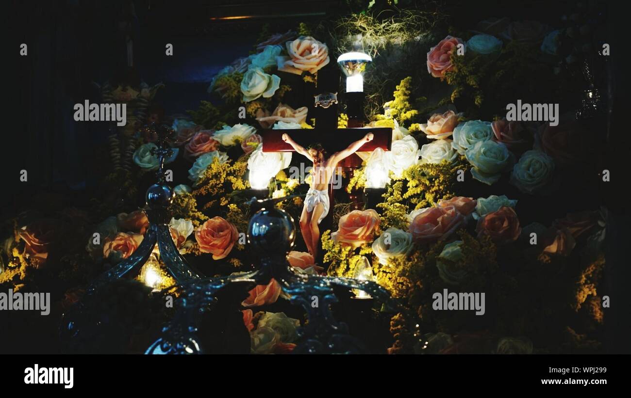 Surrounded by flowers hi-res stock photography and images - Alamy