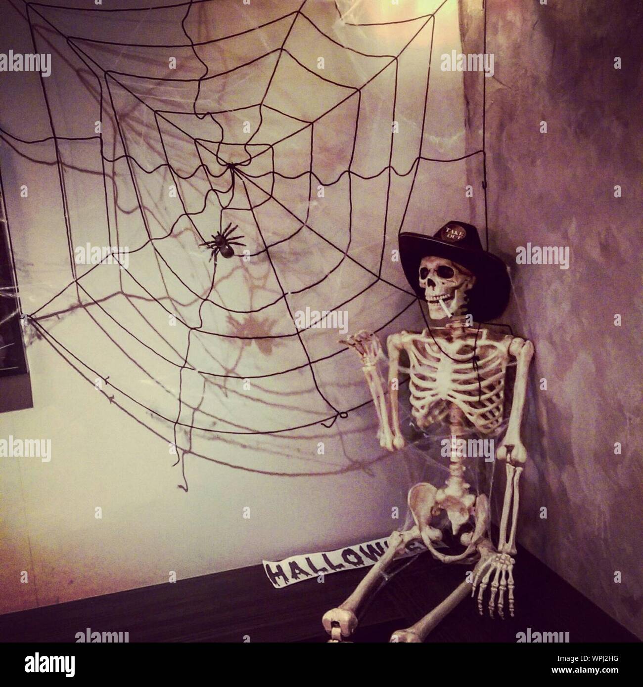 Human skeleton sitting hi-res stock photography and images - Alamy