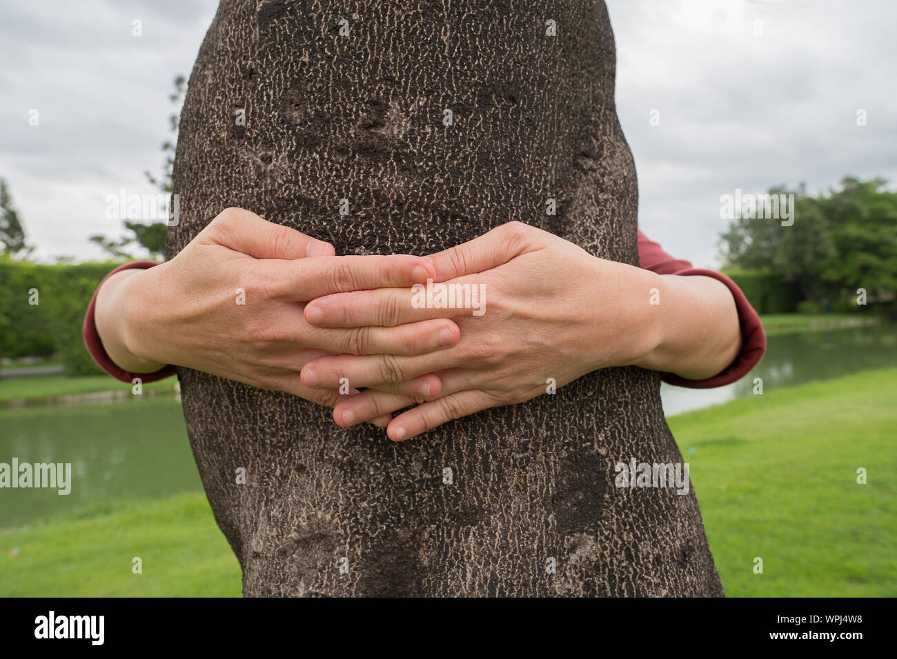 Hands embracing around the trunk of a tree with love Stock Photo - Alamy