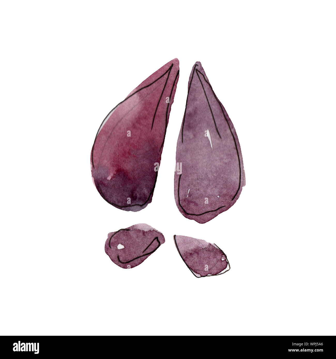 Pig footprint farm animal isolated. Watercolor background illustration ...