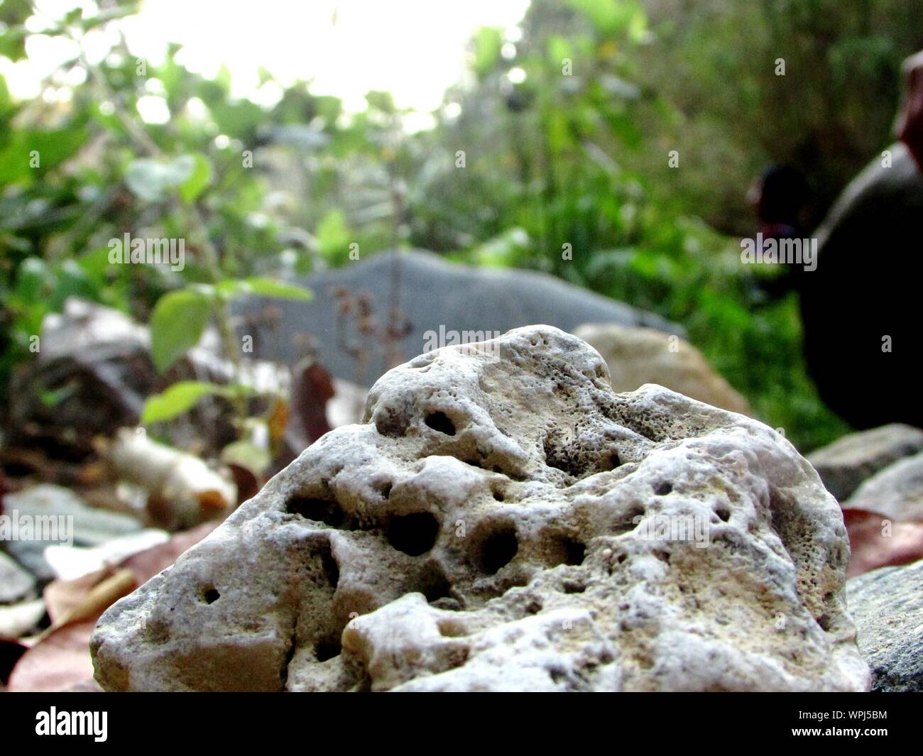 Holes on rock hi-res stock photography and images - Alamy