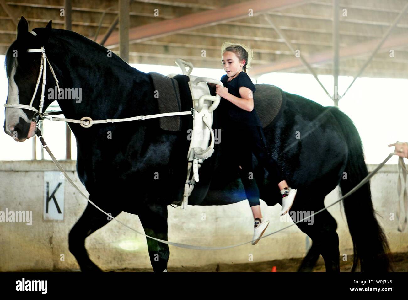 Girl and horse stable hi-res stock photography and images - Alamy
