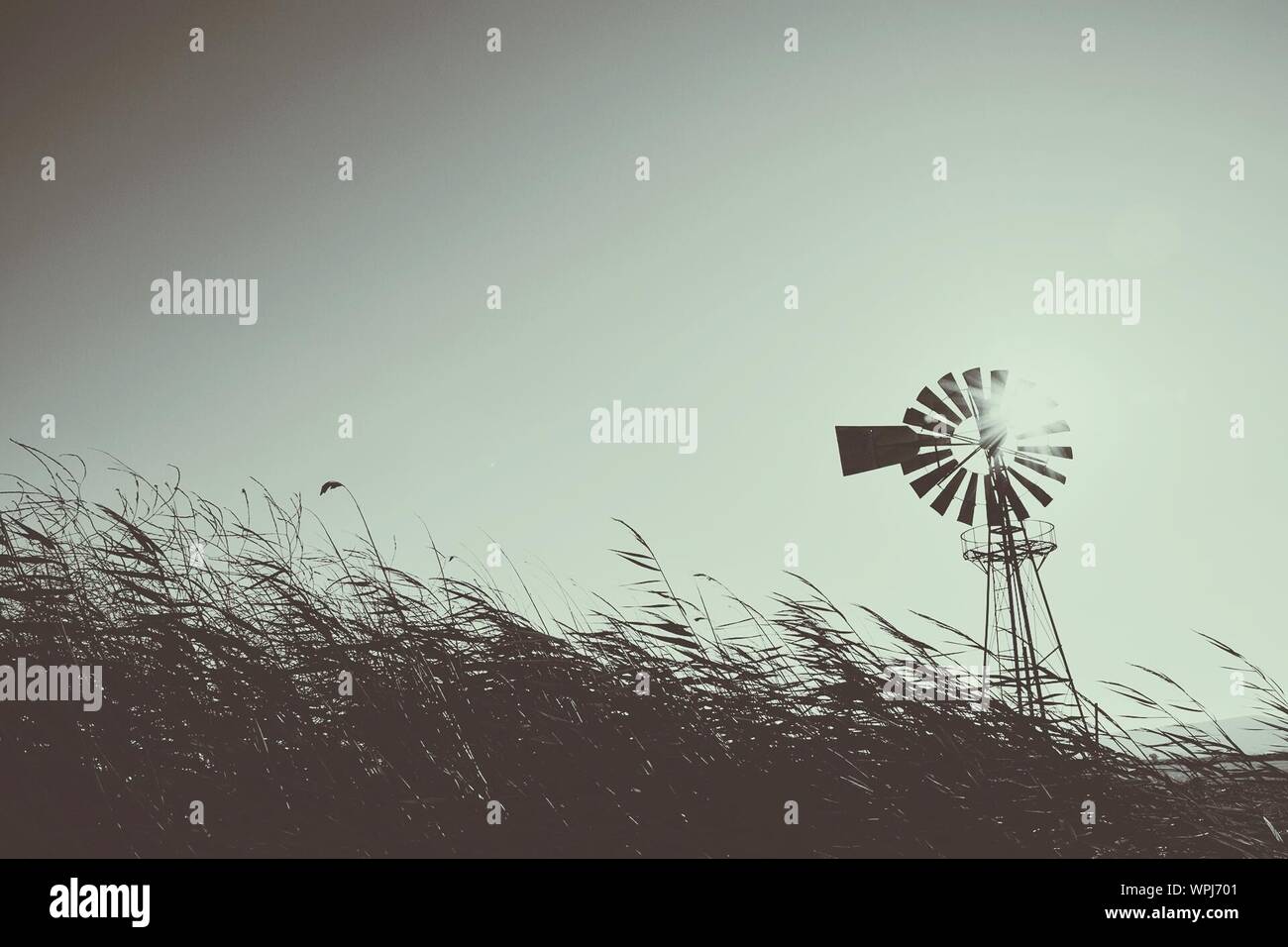 Wind traditional hi-res stock photography and images - Alamy