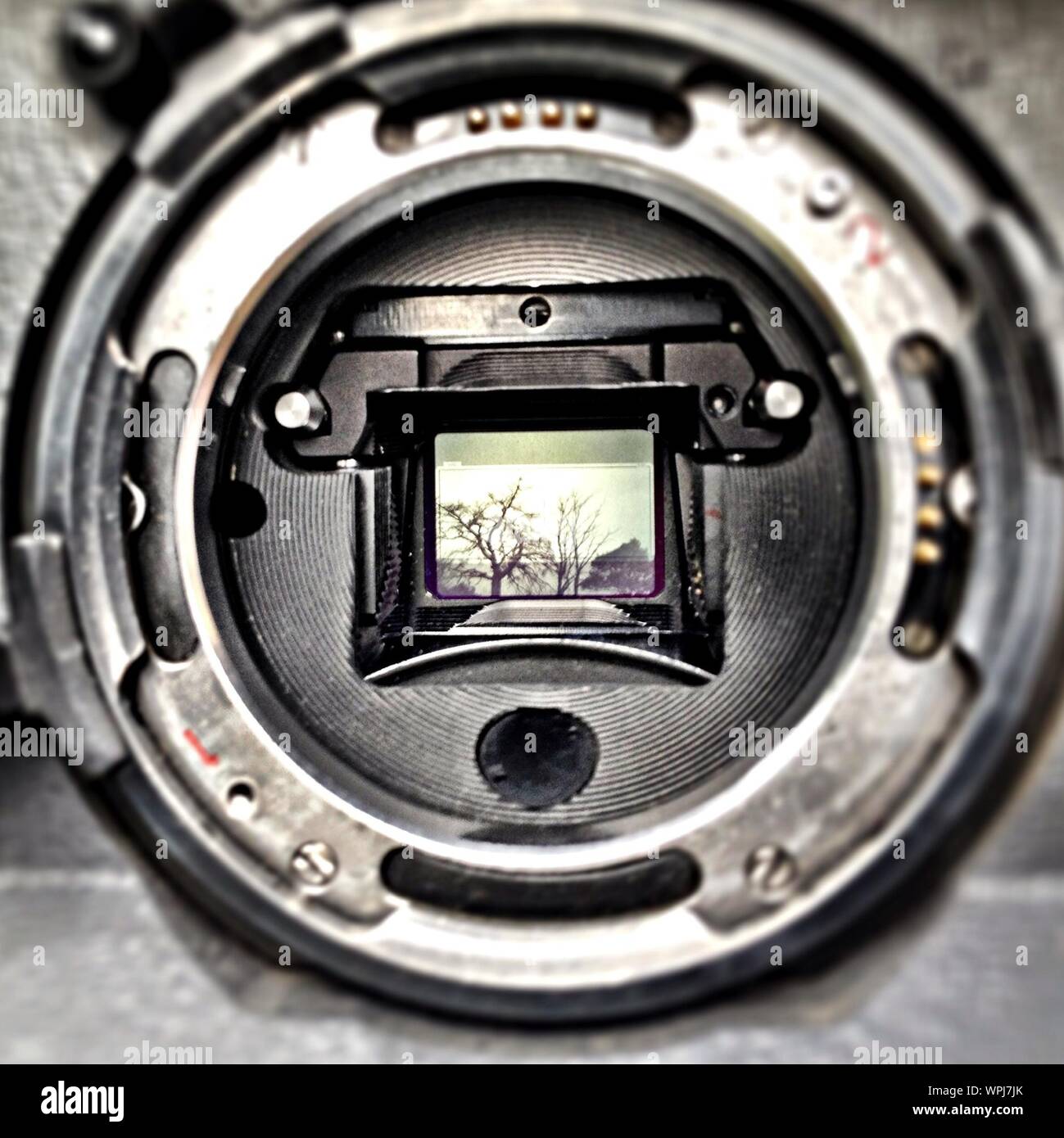 Digital camera viewfinder hi-res stock photography and images - Alamy