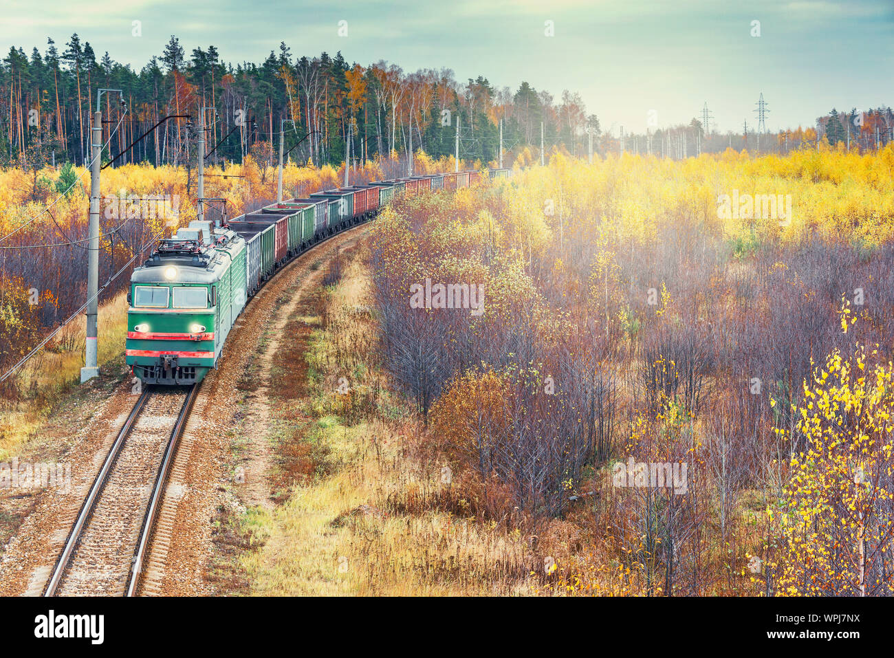 Freight rain on autumn forest background Stock Photo - Alamy