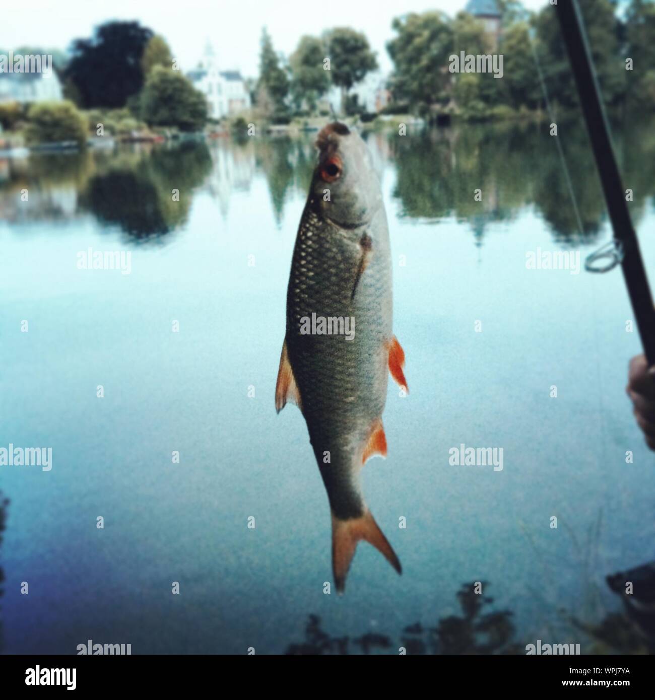 Fishing i hi-res stock photography and images - Alamy