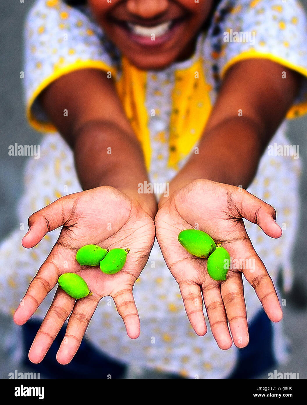 Human hand mangoes mango fruit hi-res stock photography and images - Alamy