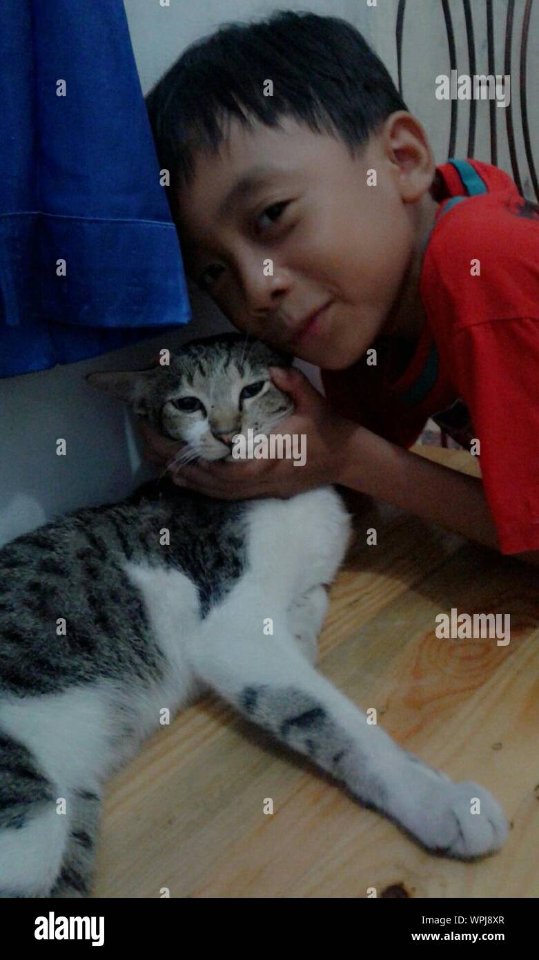 Boy holding cat hi-res stock photography and images - Alamy
