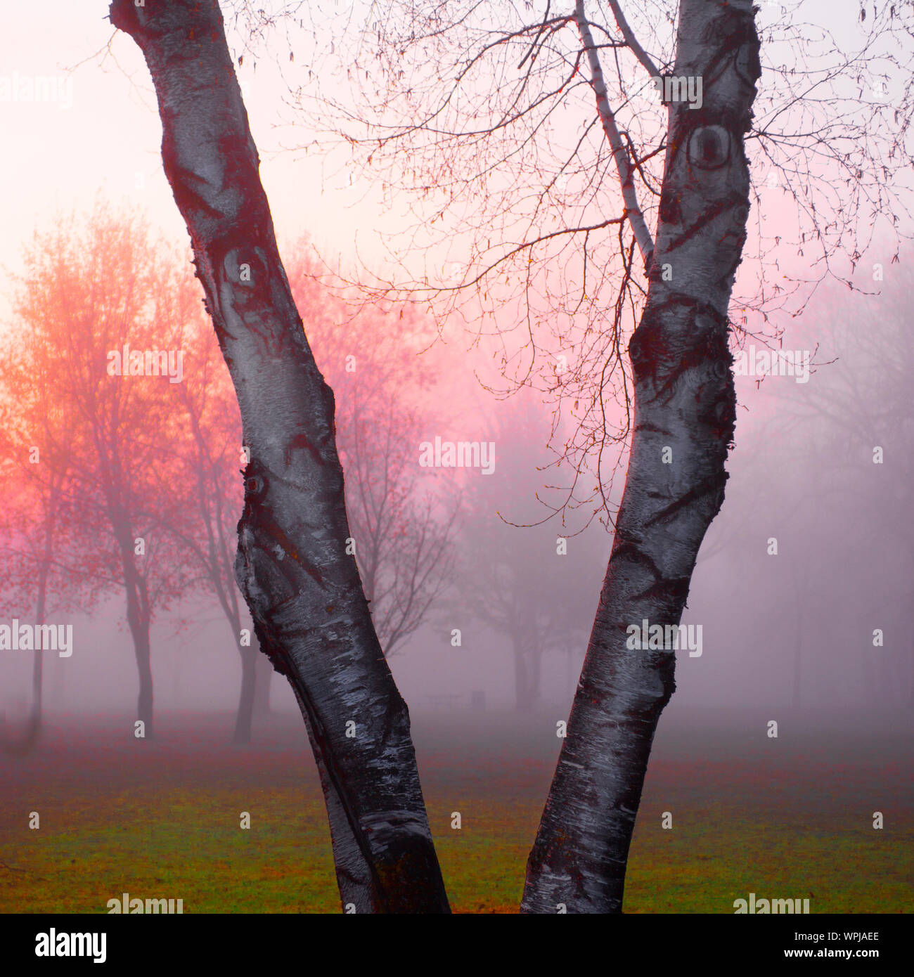 Landscape format dawn hi-res stock photography and images - Alamy