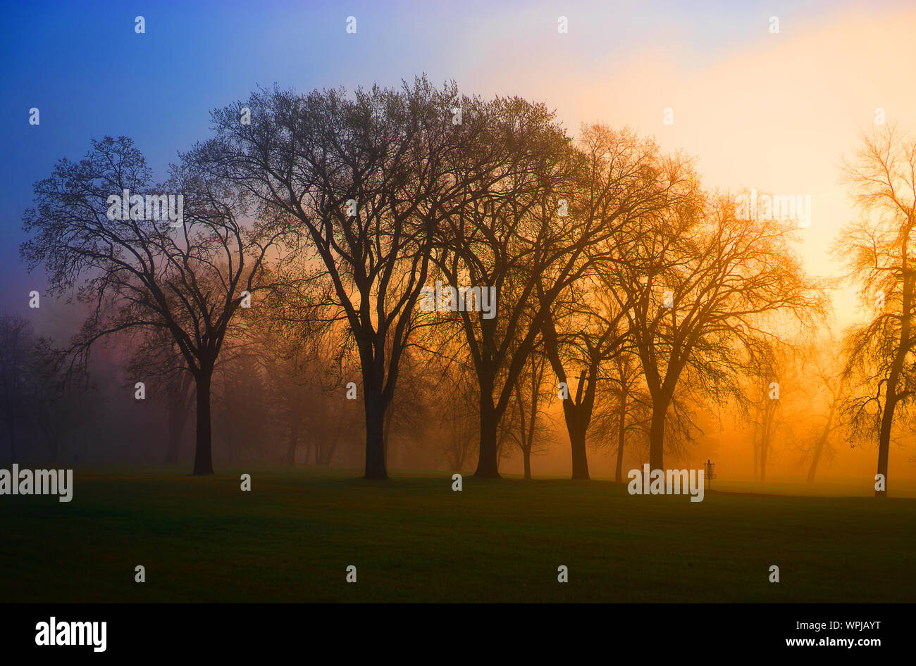 Against early morning sky hi-res stock photography and images - Alamy