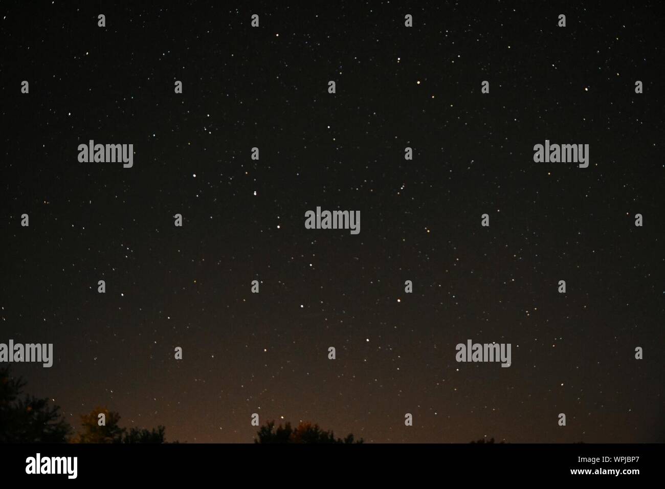 Stars over trees hi-res stock photography and images - Alamy