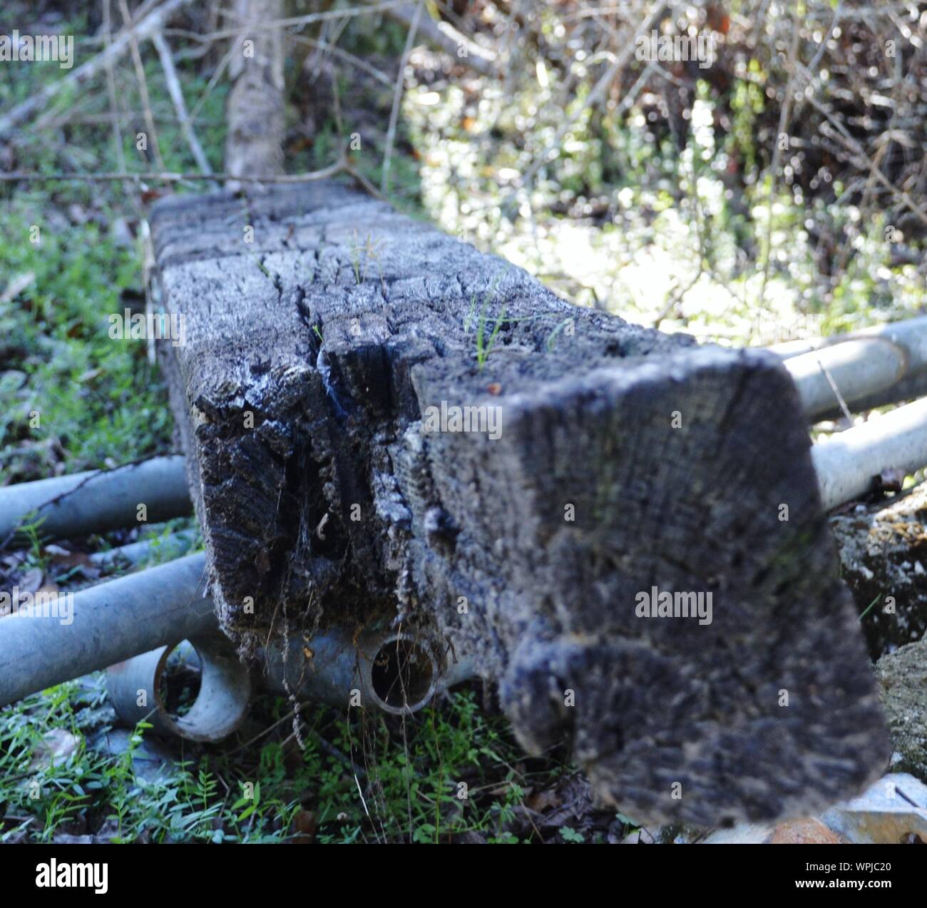 Log pipe hi-res stock photography and images - Alamy