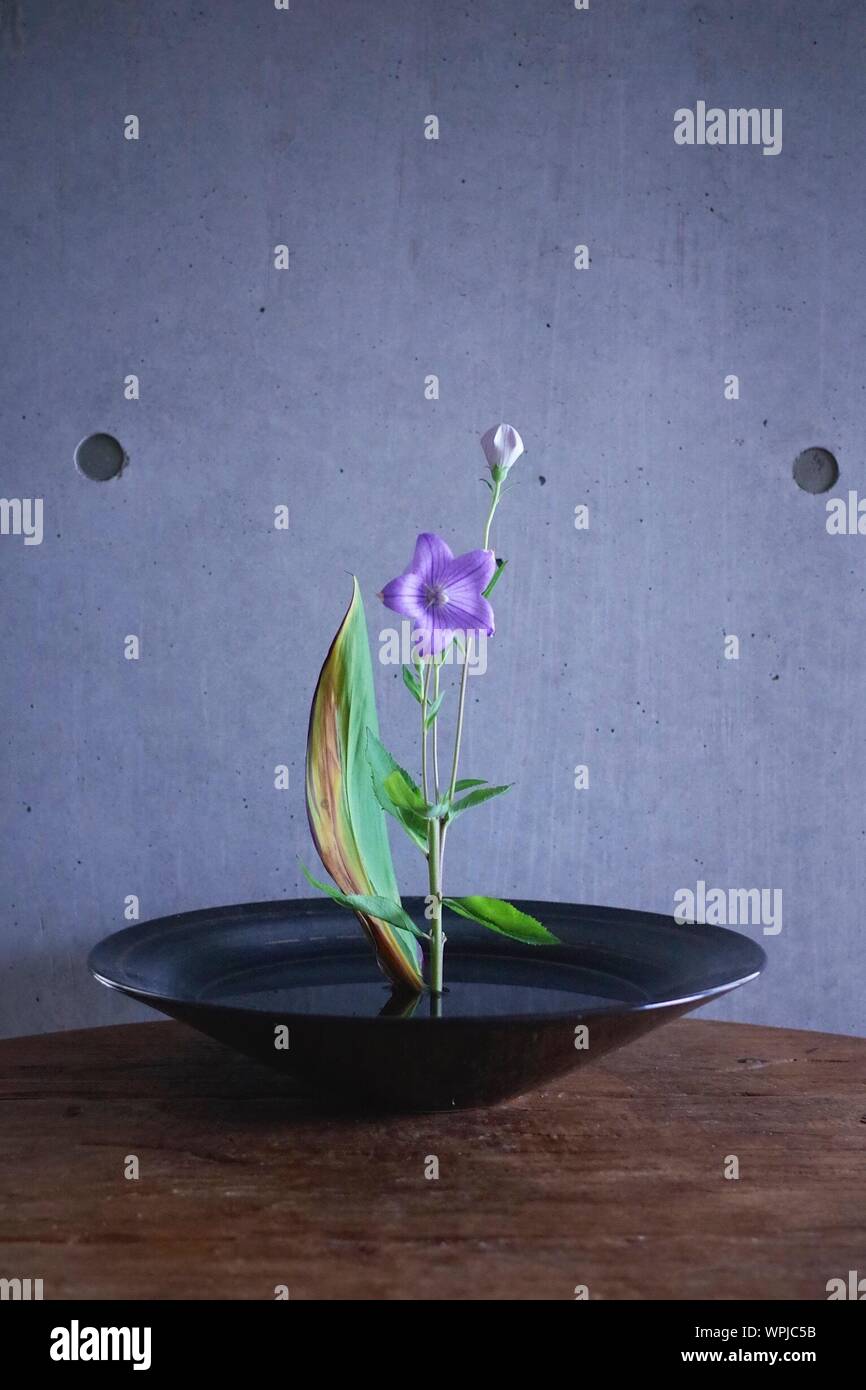 Water table water feature hi-res stock photography and images - Alamy