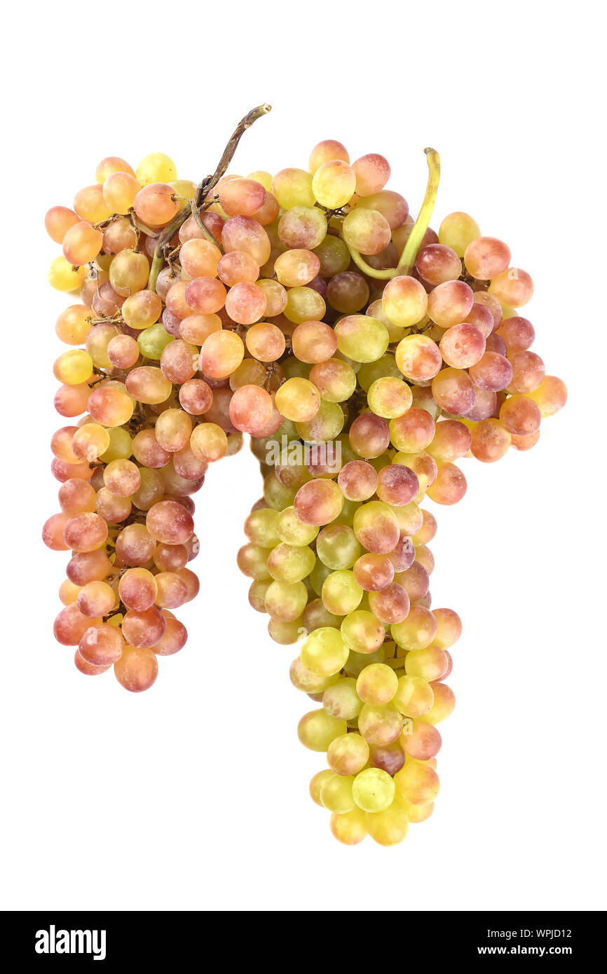 Two clusters of raisin grapes isolated on a white background. Grape ...