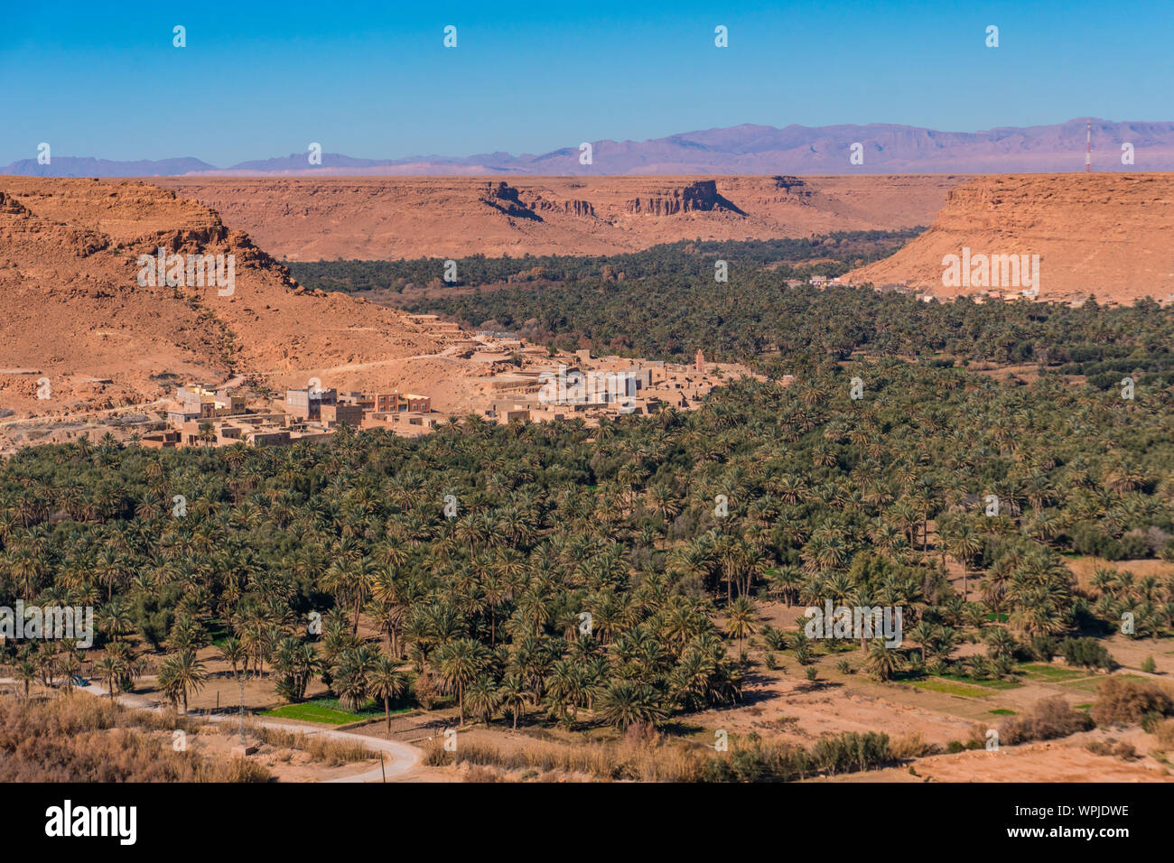 Oasis in ziz valley morocco hi-res stock photography and images - Alamy
