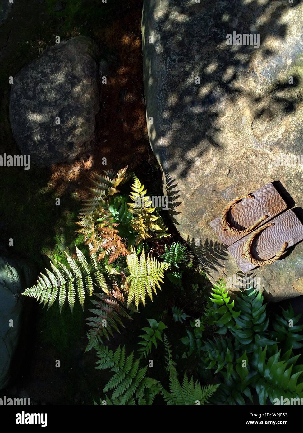 Wood slippers hi-res stock photography and images - Alamy