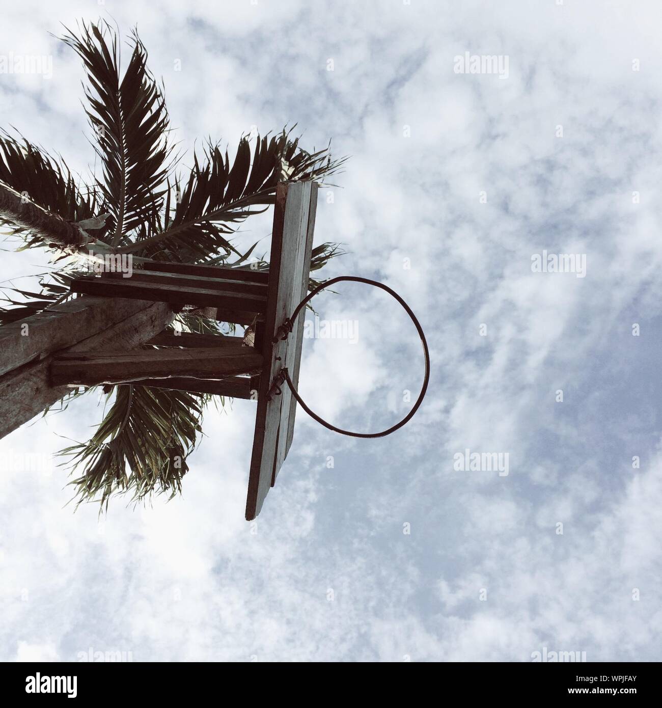 Palm Basketball High Resolution Stock Photography and Images - Alamy