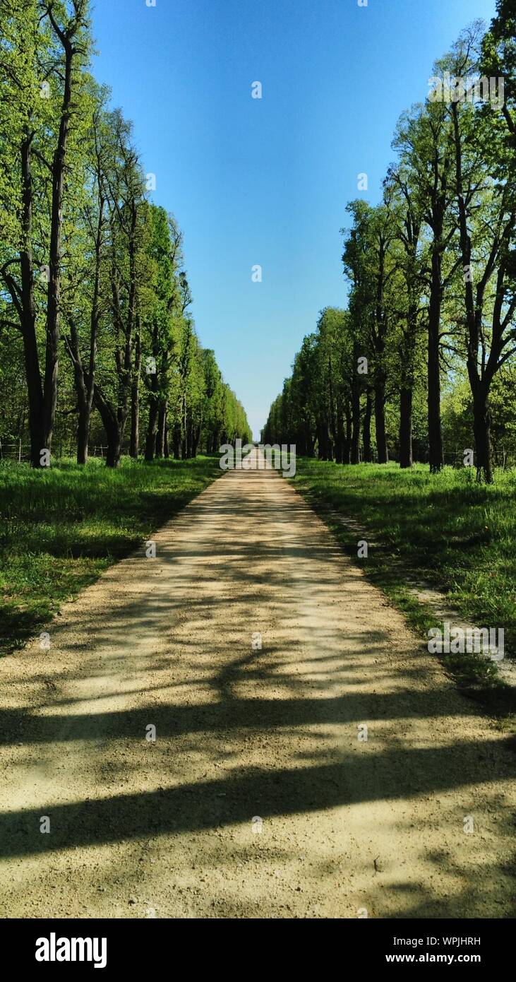 Scene shadow tree tree lined hi-res stock photography and images - Alamy