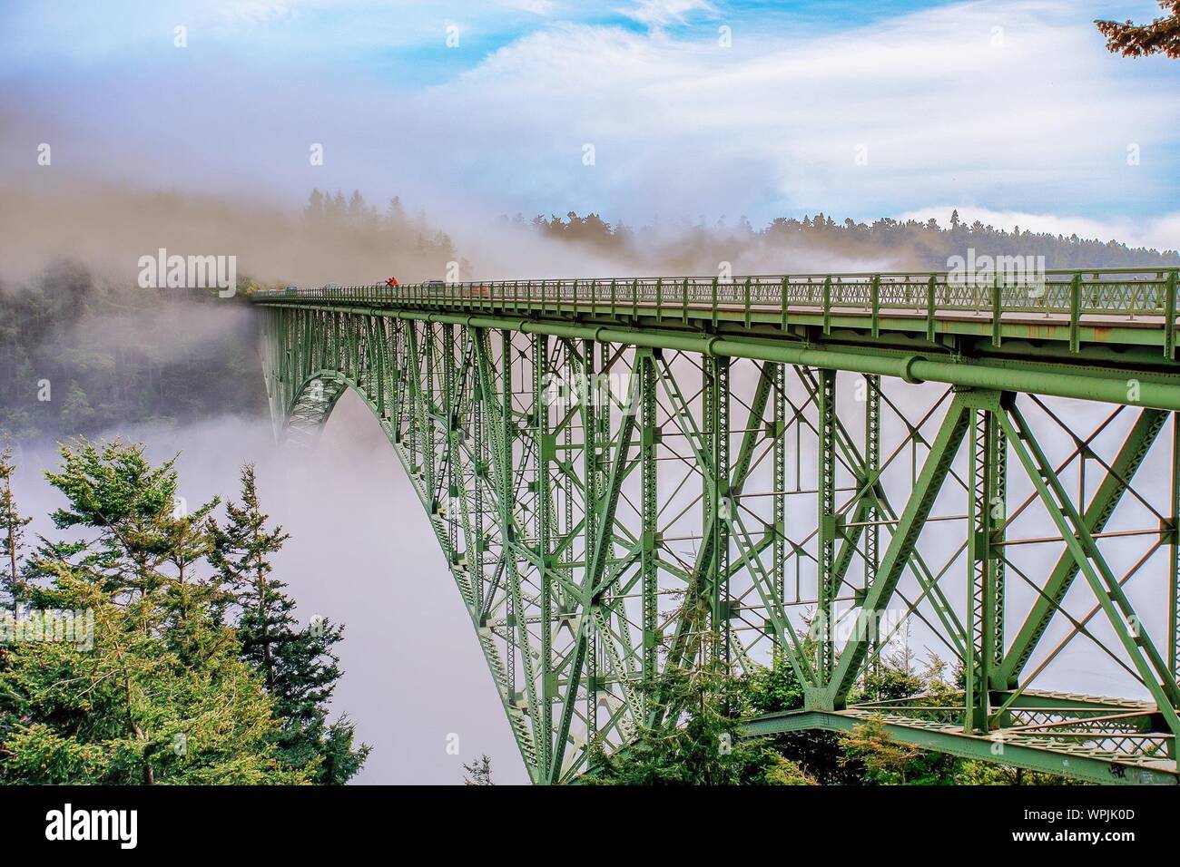 Foggy bridge tree hi-res stock photography and images - Alamy