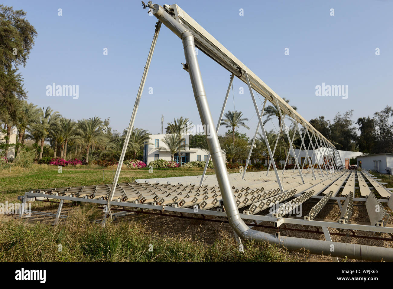 EGYPT, Bilbeis, Sekem organic farm, desert farming, renewable energy ...
