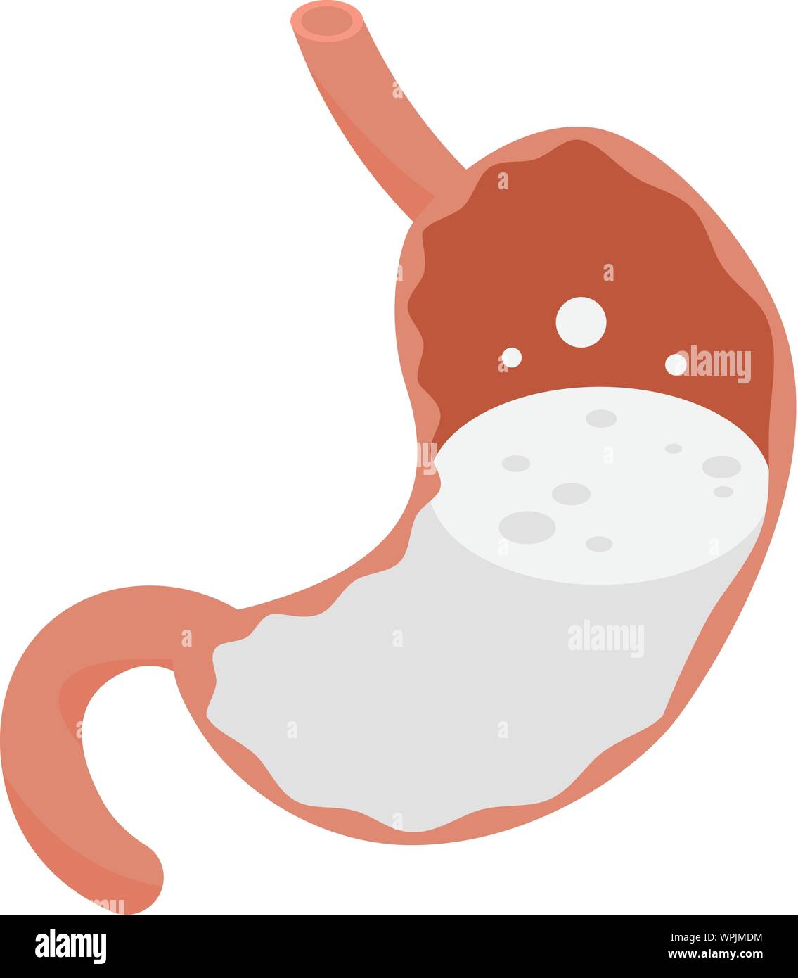 Gerd stomach icon in Stock Vector Images - Alamy