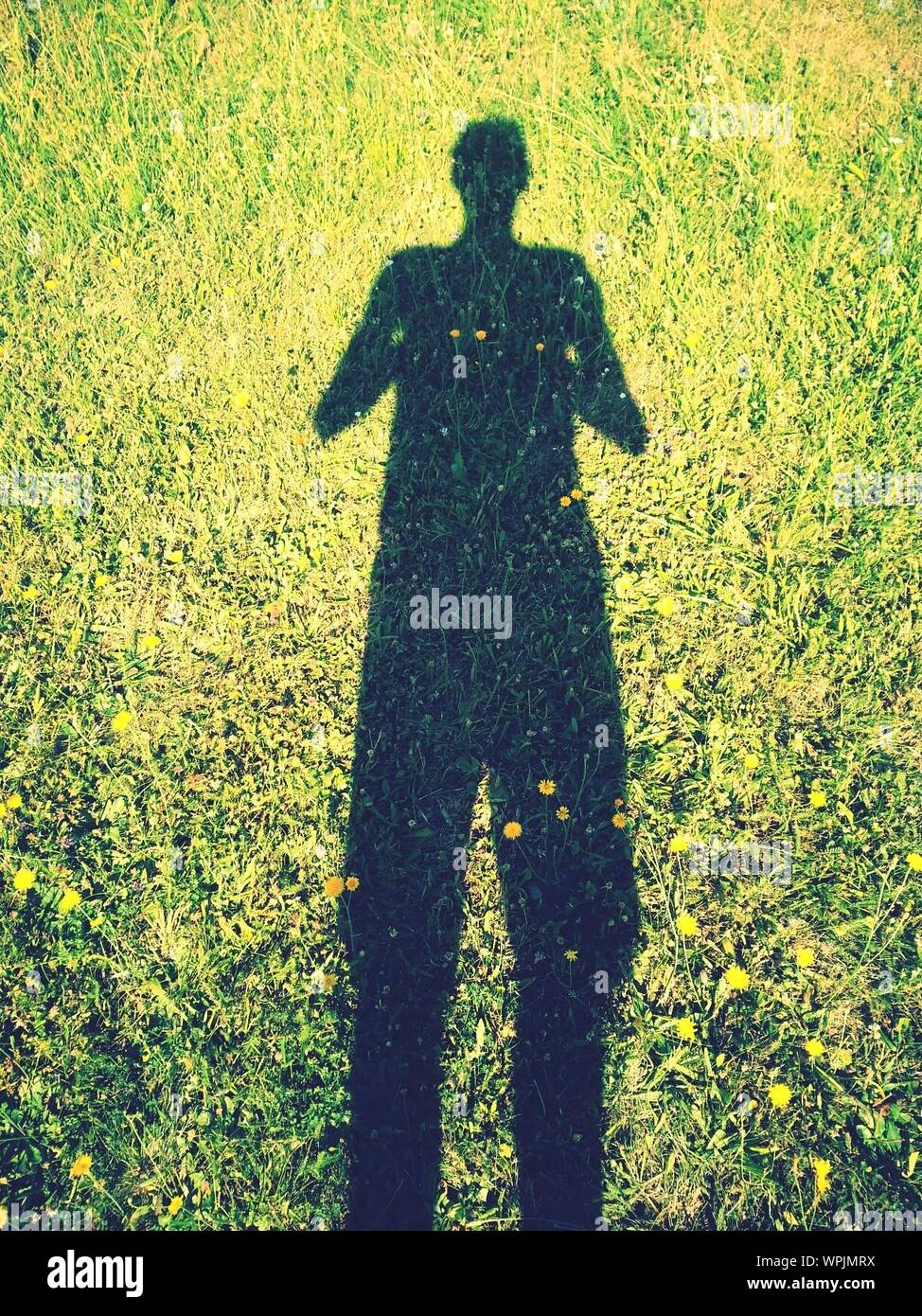 Man grassy field hi-res stock photography and images - Alamy
