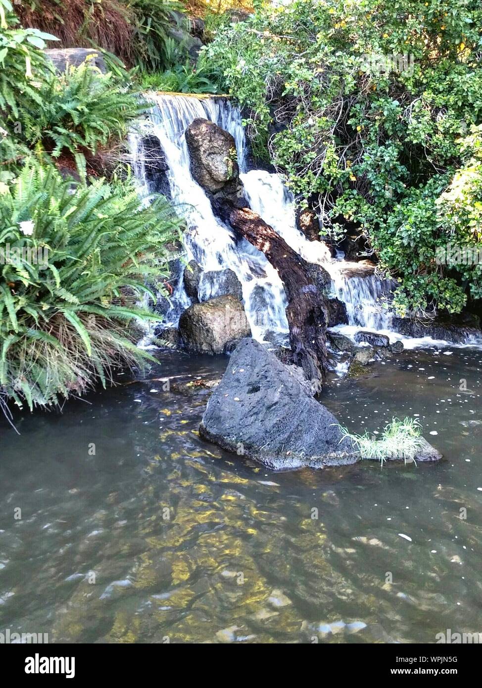 Los angeles waterfall hi-res stock photography and images - Alamy